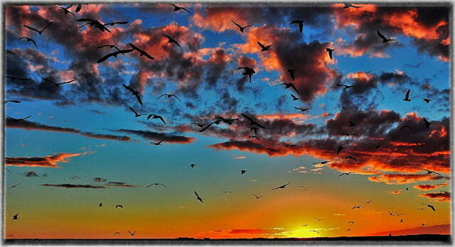 Viagens do Mar Sem Fim em fotos - Mar Sem Fim