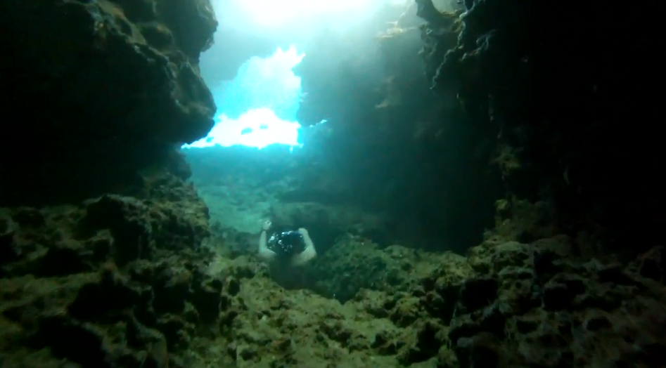 Mergulhando em cavernas do Havaí - Mar Sem Fim