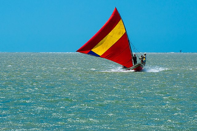 Veleiros embelezam o mar. Veja e tire dúvidas - Mar Sem Fim
