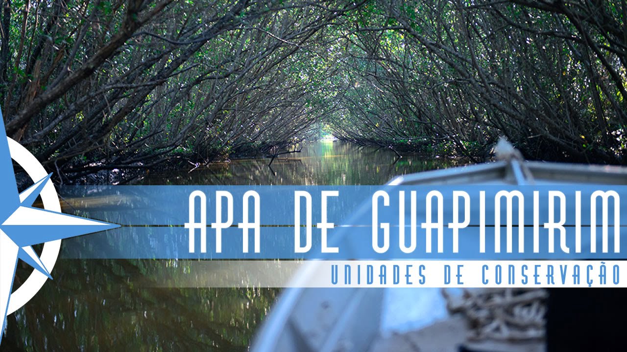 APA de Guapi-Mirim, talvez a mais importante UC do Rio de Janeiro