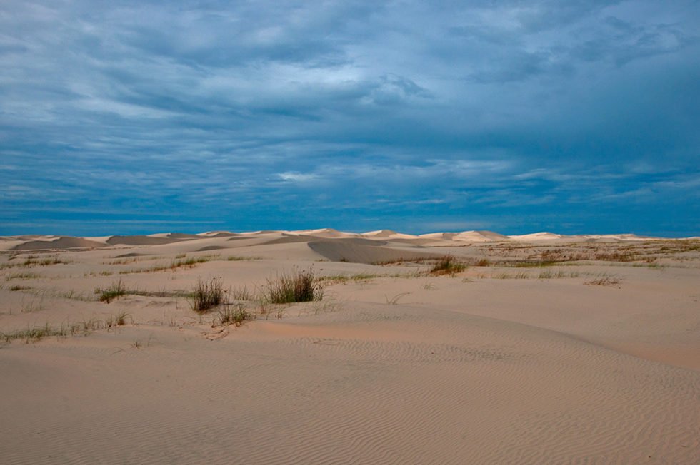 Dunas e suas importantes funções - Mar Sem Fim