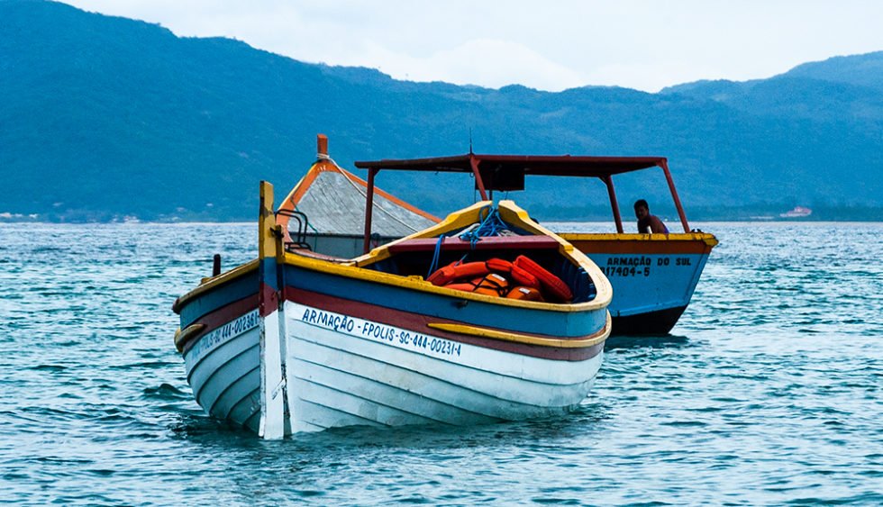 Vikings, grandes navegadores da história, e o Drakkar - Mar Sem Fim