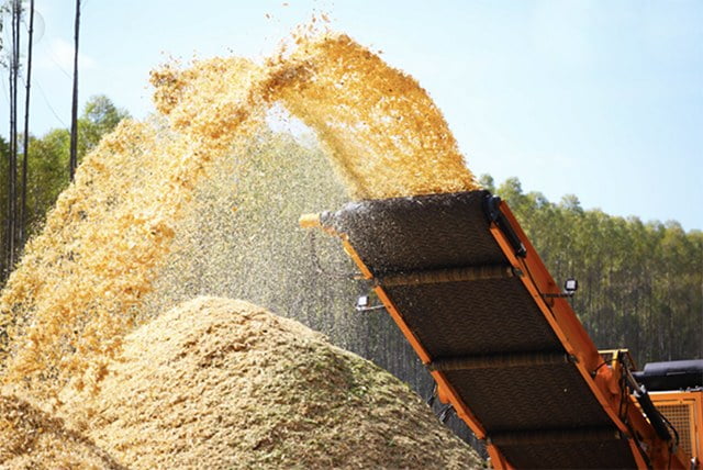 Energia da biomassa, conheça o potencial no Brasil - Mar Sem Fim