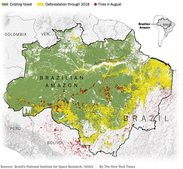 Amazônia 2020-2021, e o legado de um irresponsável - Mar Sem Fim