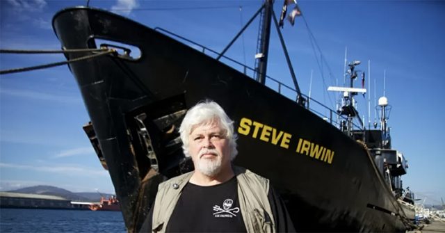 Paul Watson, da Sea Shepherd, apeado do cargo - Mar Sem Fim
