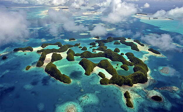 A importância das ilhas para a biodiversidade - Mar Sem Fim