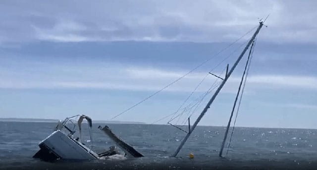 Orcas da Península Ibérica afundam veleiros por brincadeira - Mar Sem Fim