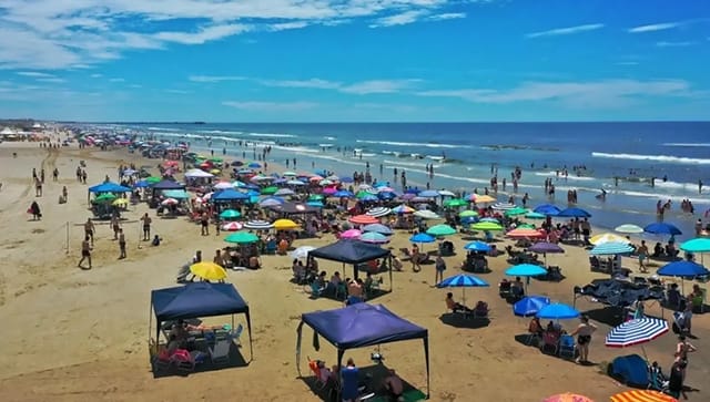 Praias de SC tornam-se paraíso das engordas e da diarreia - Mar Sem Fim